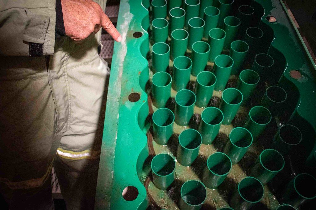 The Carillon Dam needs an eel ladder - Ottawa Riverkeeper | Garde ...