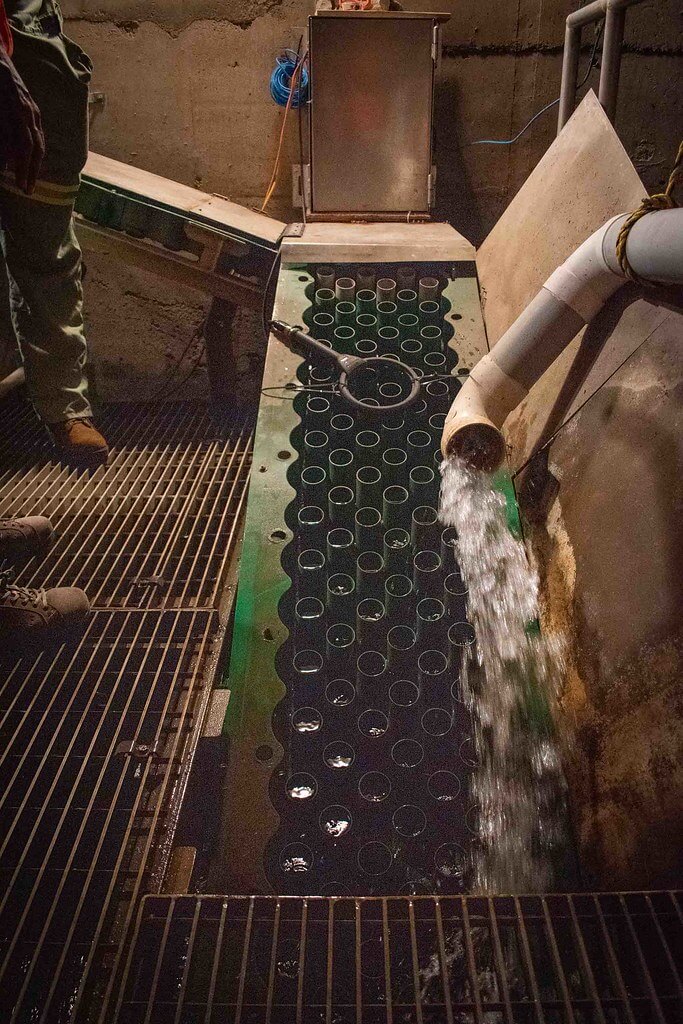 The Carillon Dam needs an eel ladder - Ottawa Riverkeeper | Garde ...