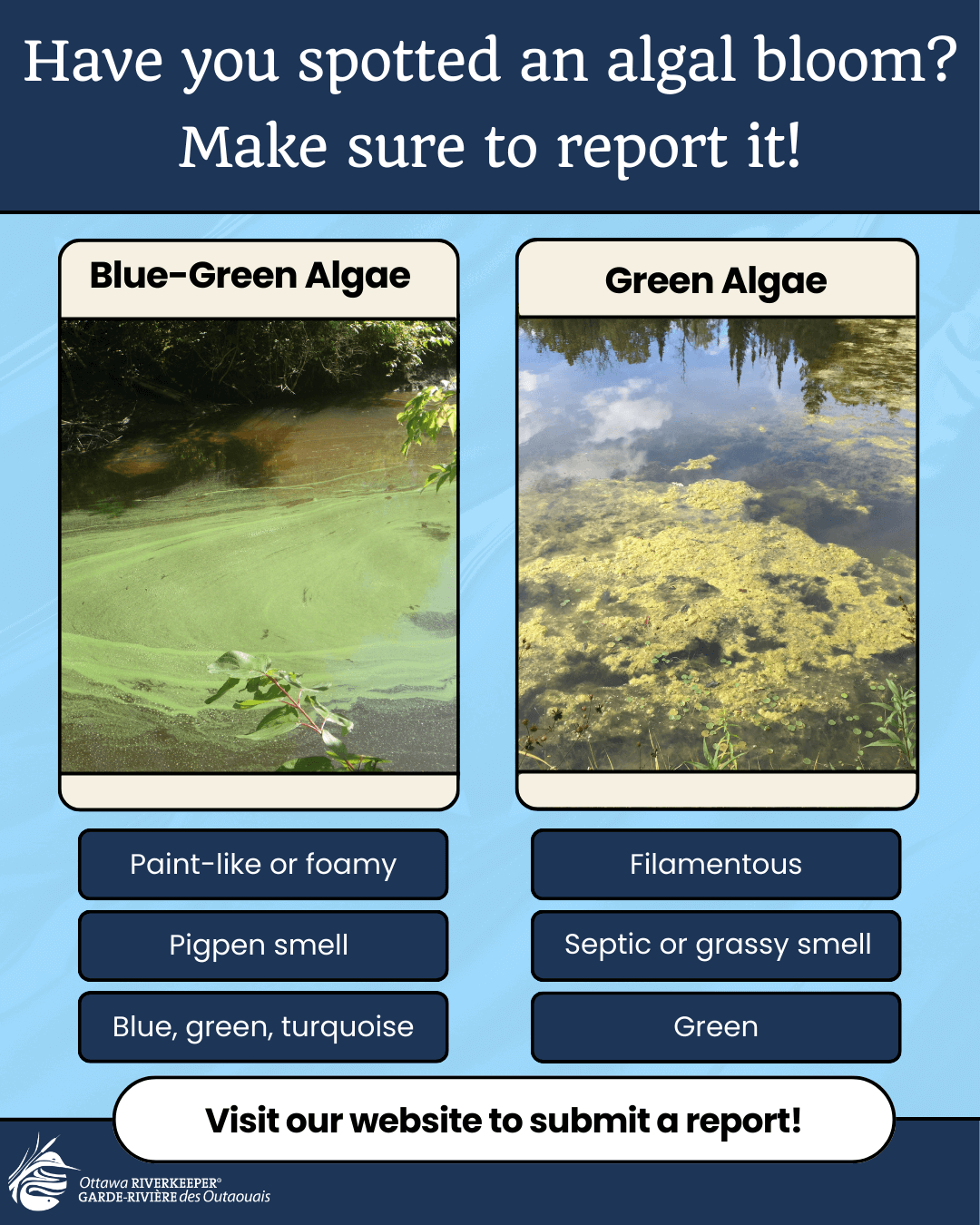 It’s Not Just a Summer Problem: Help Track Algal Blooms Into Fall ...